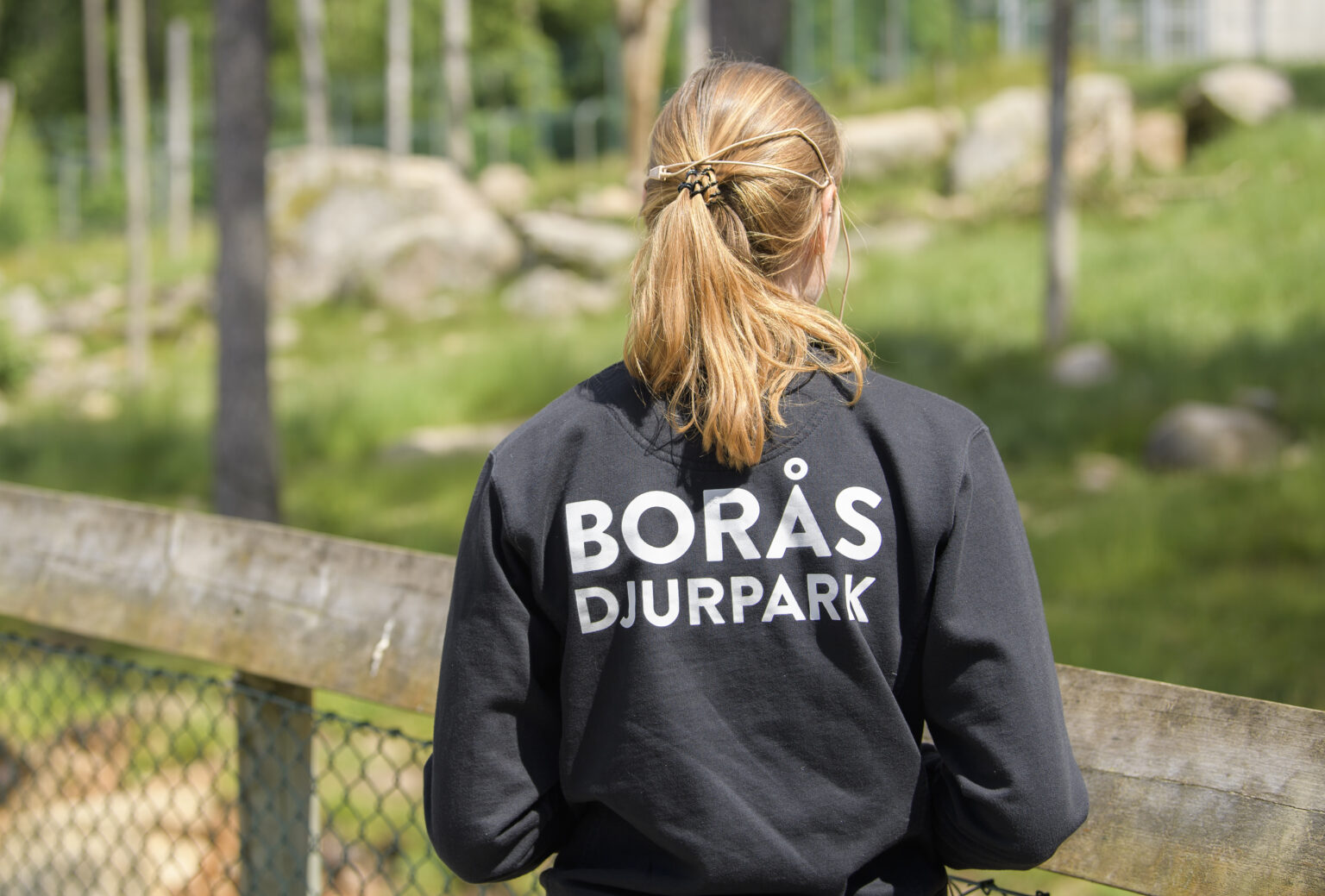 Borås Djurpark - Äventyret väntar i Borås djupaste djungel
