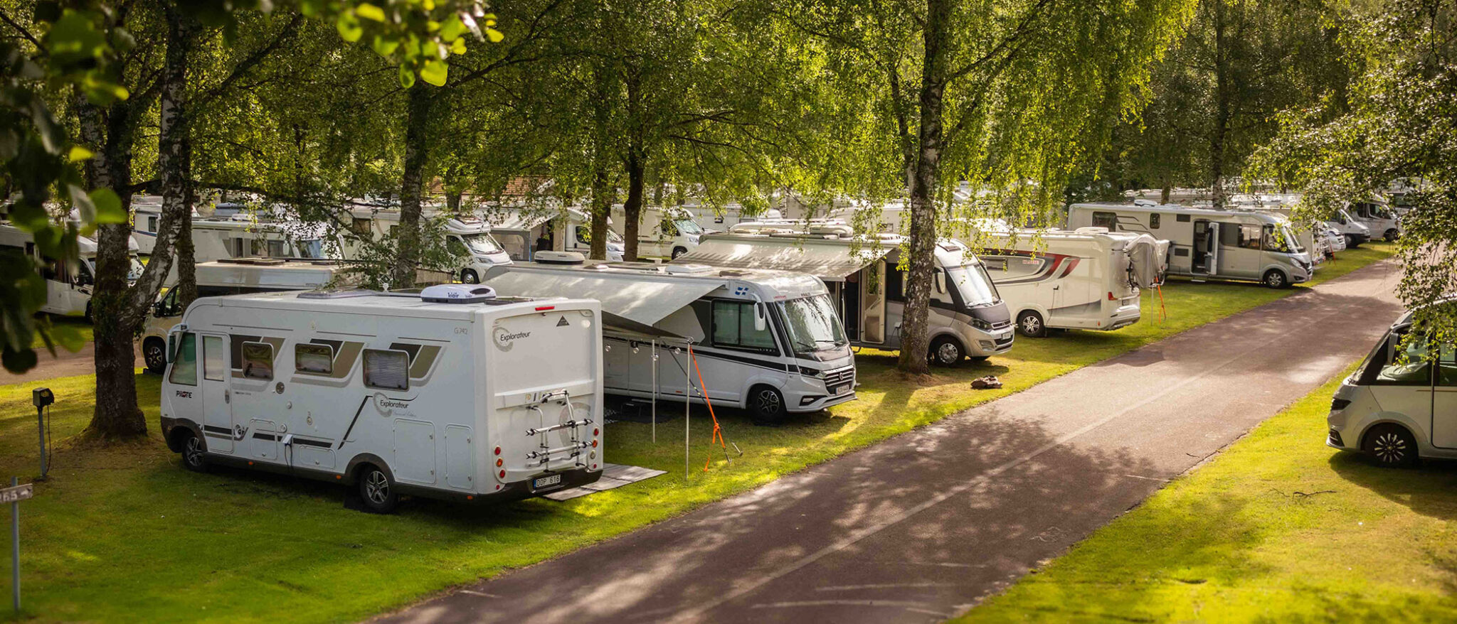 Borås Djurpark - Äventyret väntar i Borås djupaste djungel